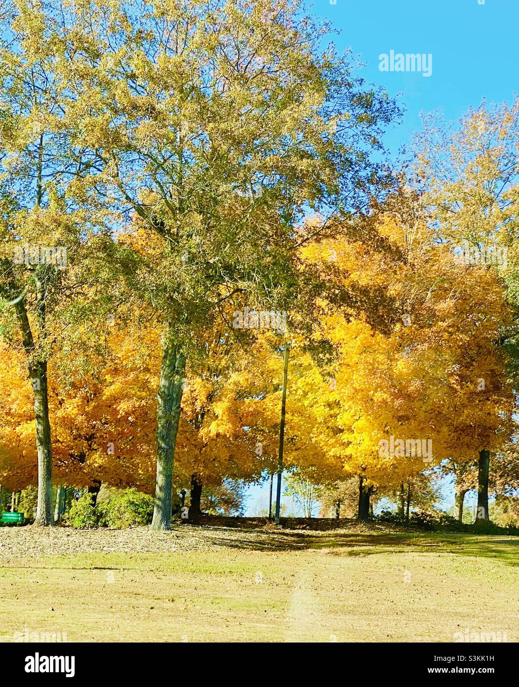 Golden colors High Resolution Stock Photography and Images - Alamy