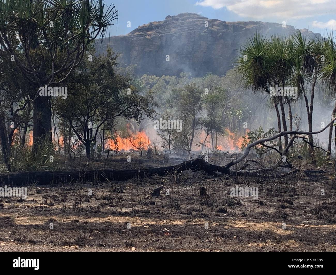 Fire burn in Kakadu National Park Stock Photo - Alamy