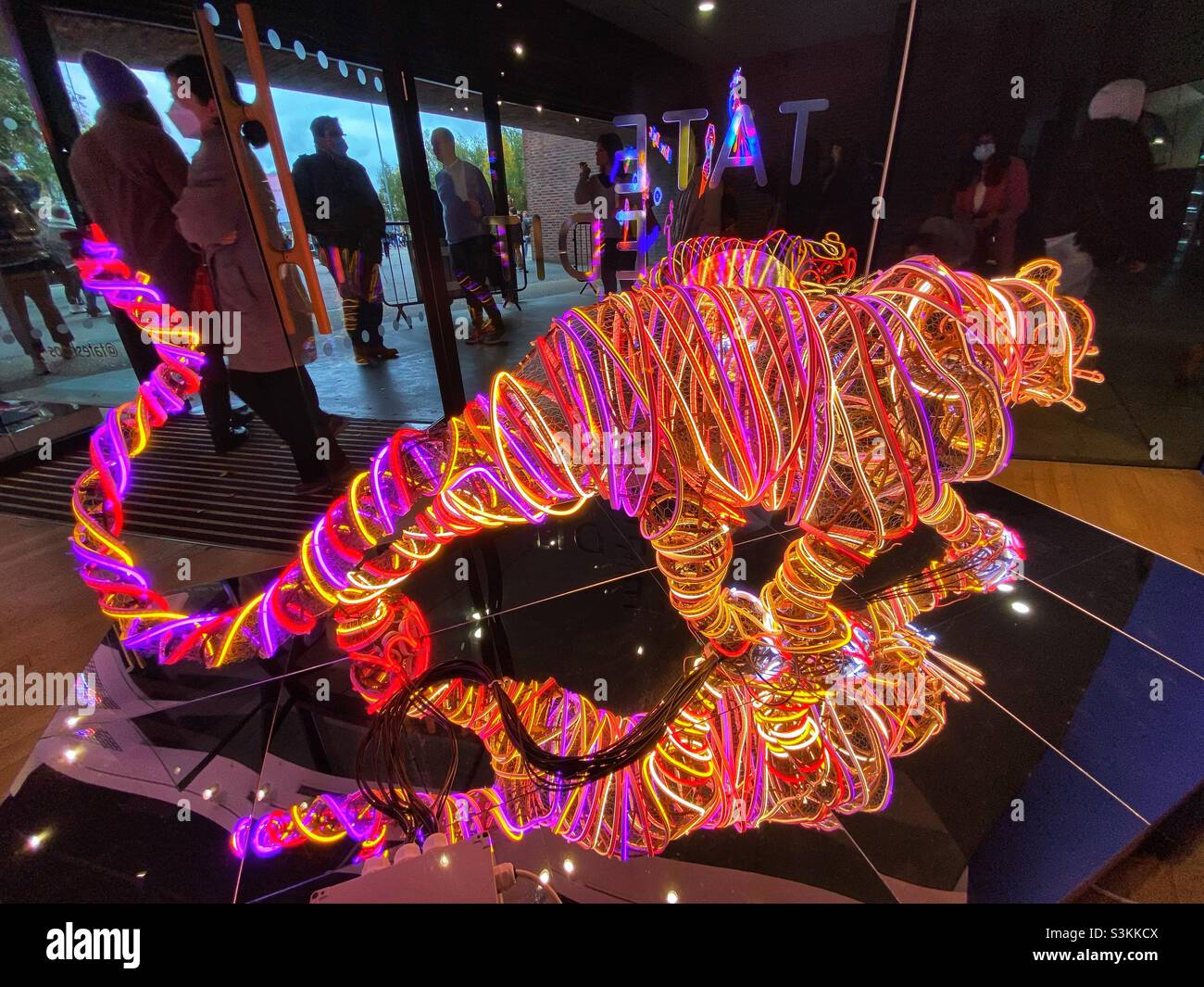 Tiger neon light by Kumari Singh Burman at Tate Modern Stock Photo - Alamy