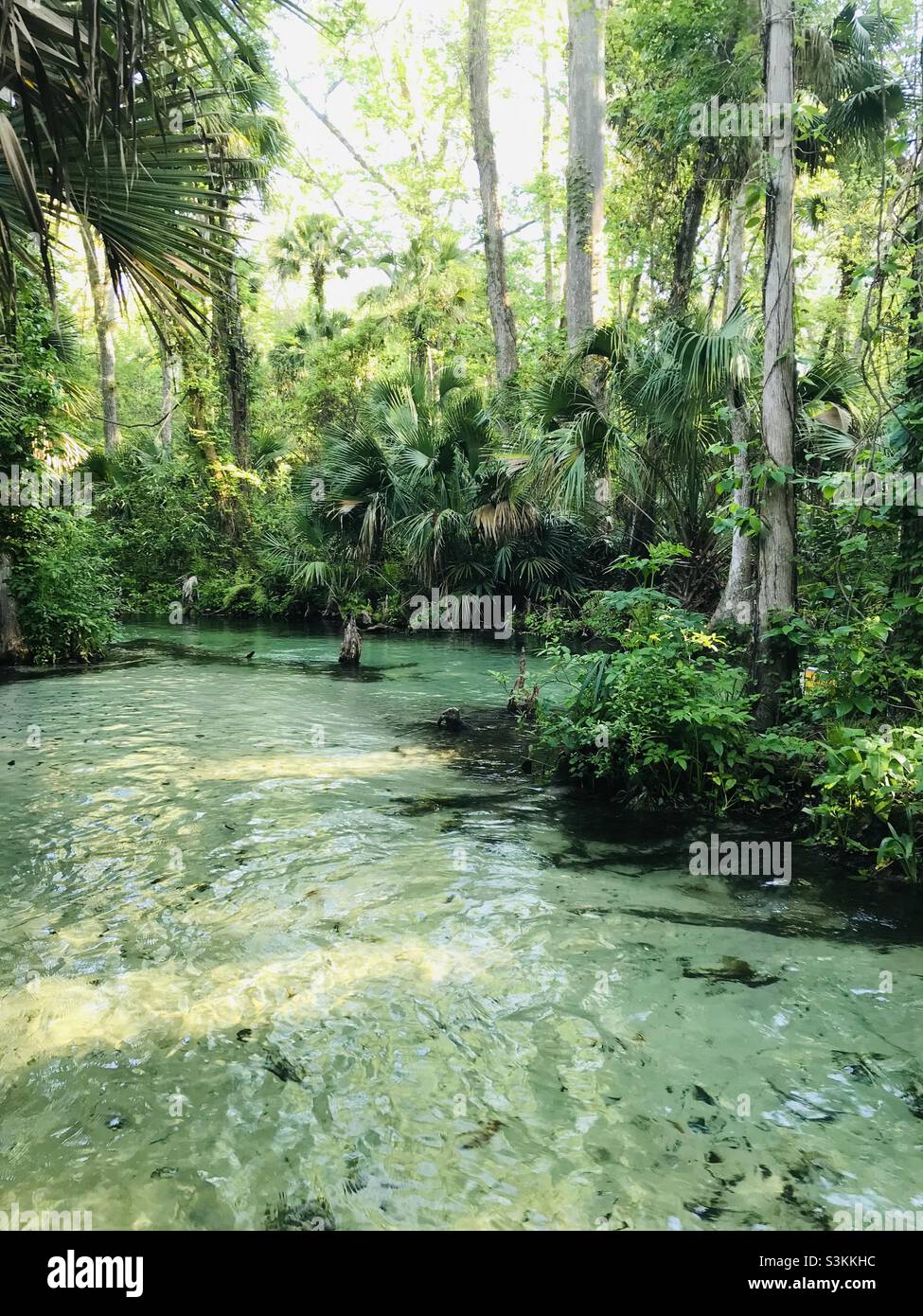Emerald springs hi-res stock photography and images - Alamy