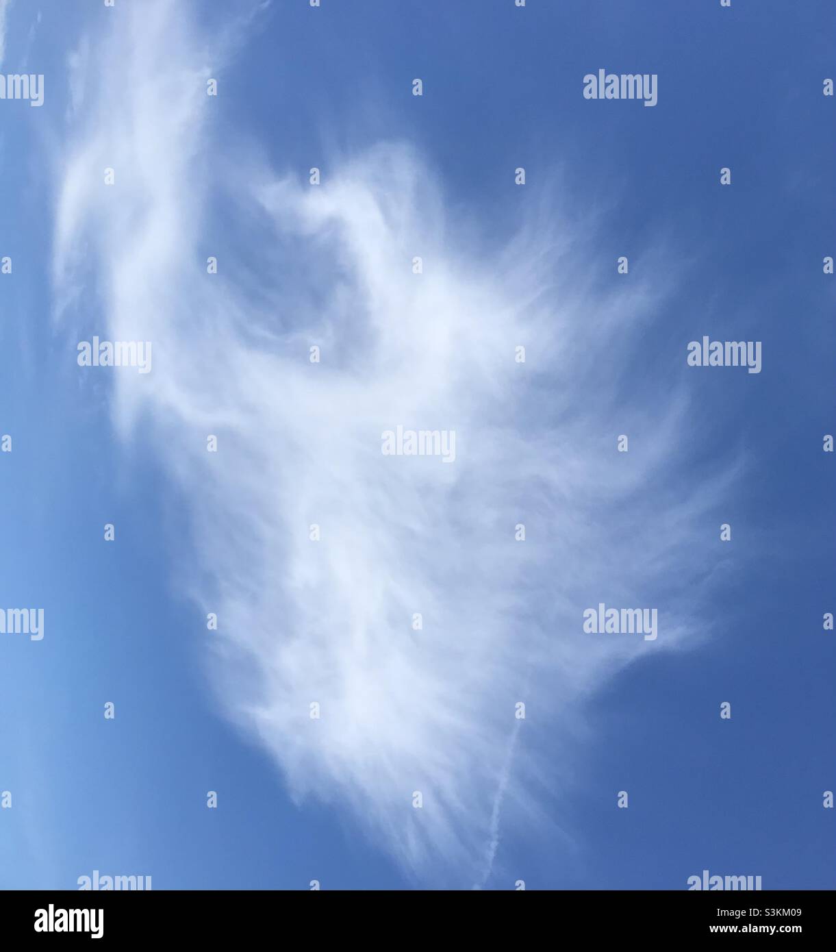 Bird shaped cloud hi-res stock photography and images - Alamy