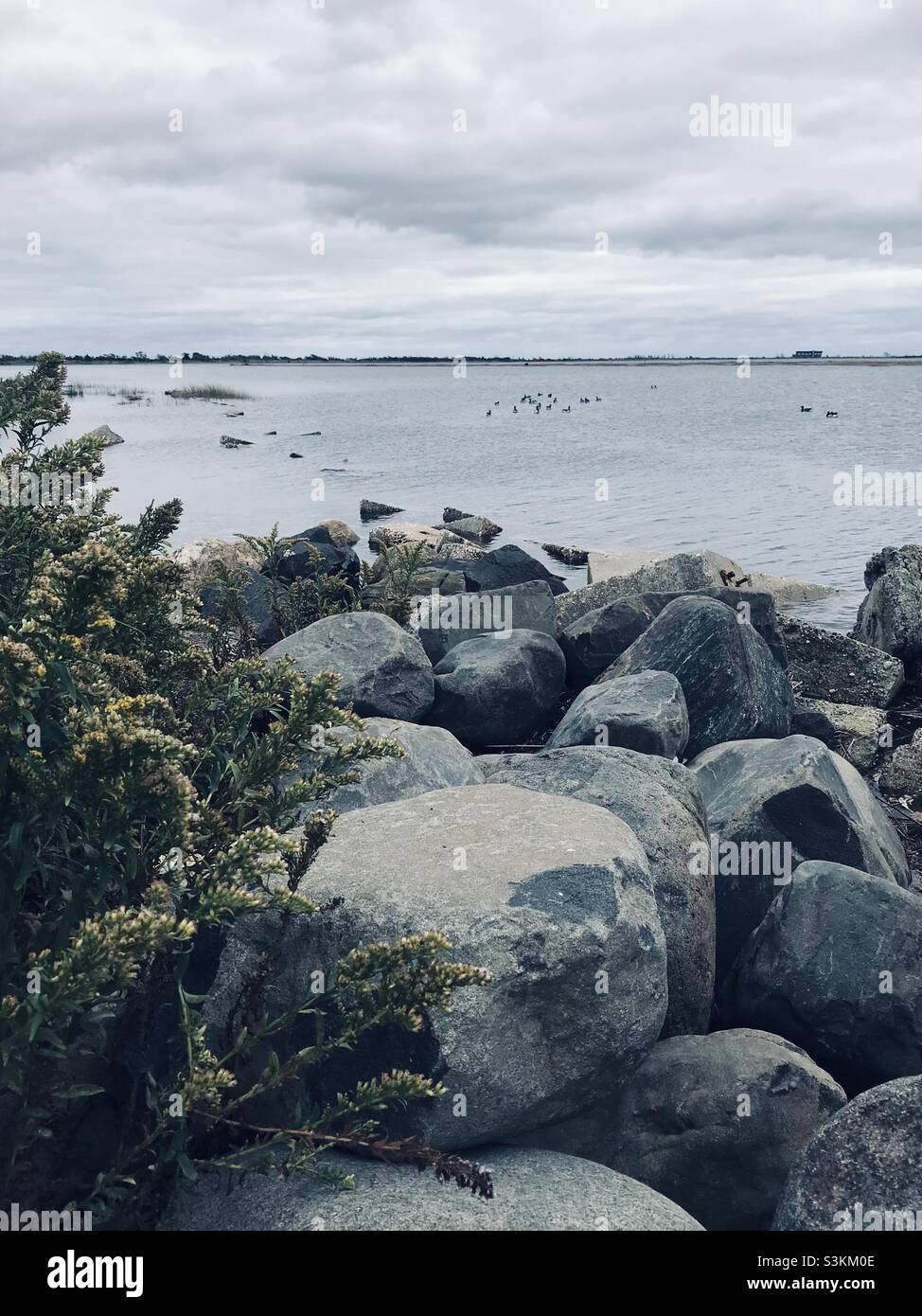 Jetty rocks hi-res stock photography and images - Alamy