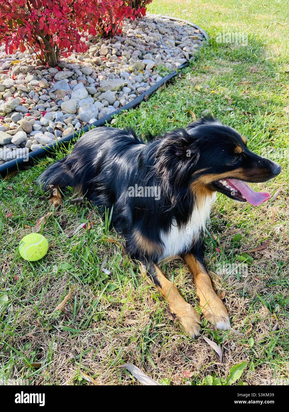 Our day out play hi-res stock photography and images - Alamy