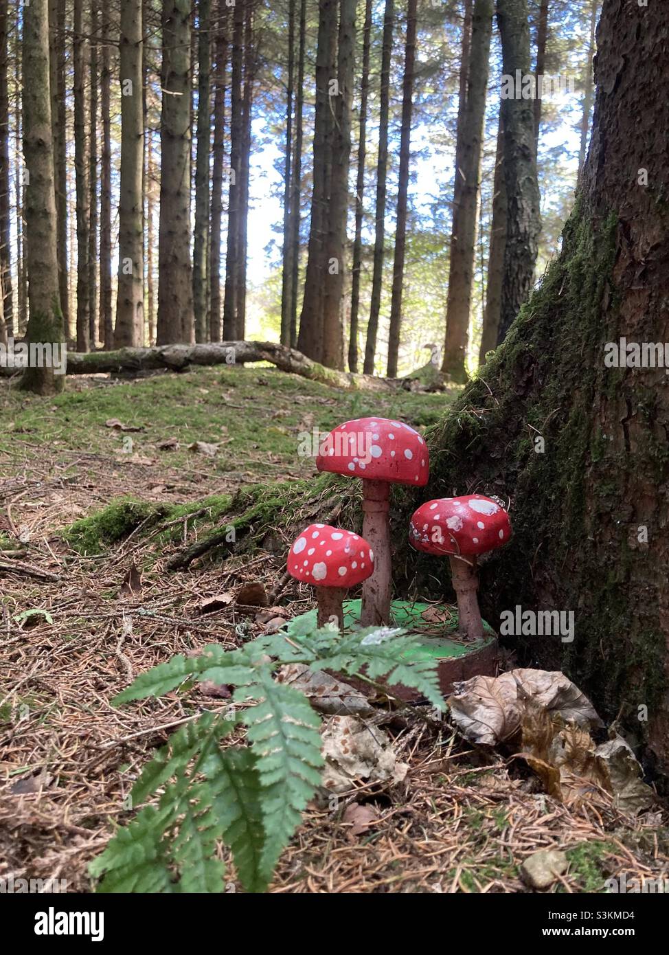 Wooden toadstools in the woods Stock Photo - Alamy