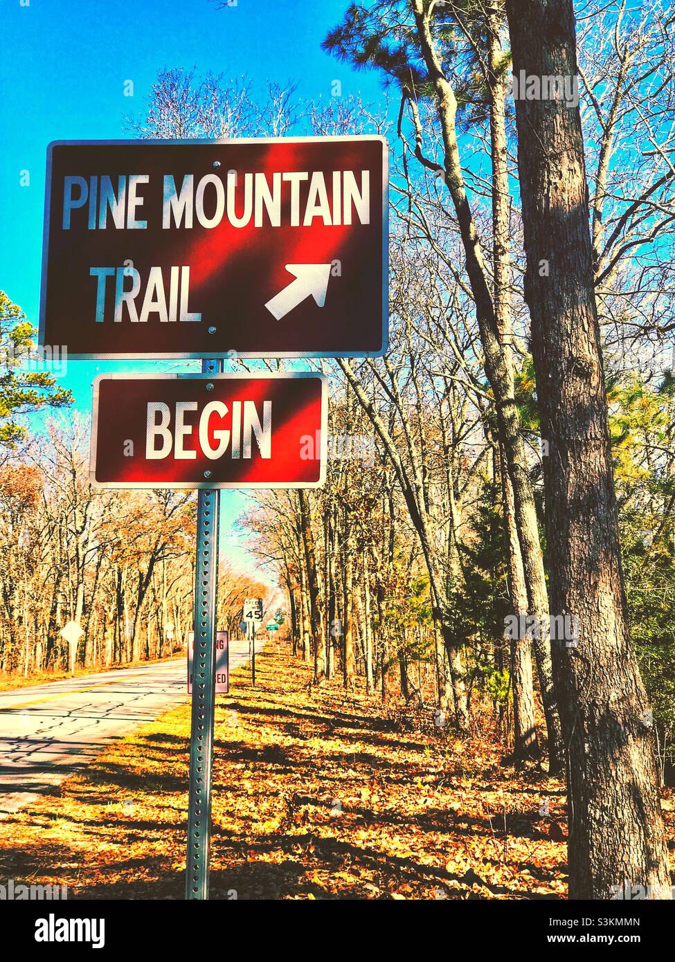 Georgia pine hi-res stock photography and images - Alamy