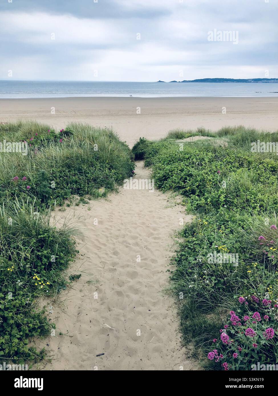 Pathway beach hi-res stock photography and images - Alamy