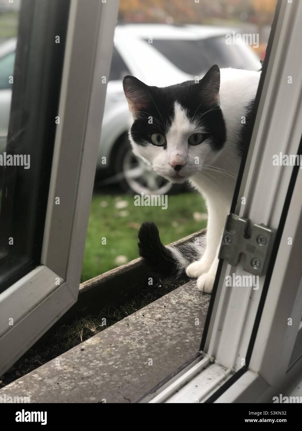 Snooping hi-res stock photography and images - Alamy