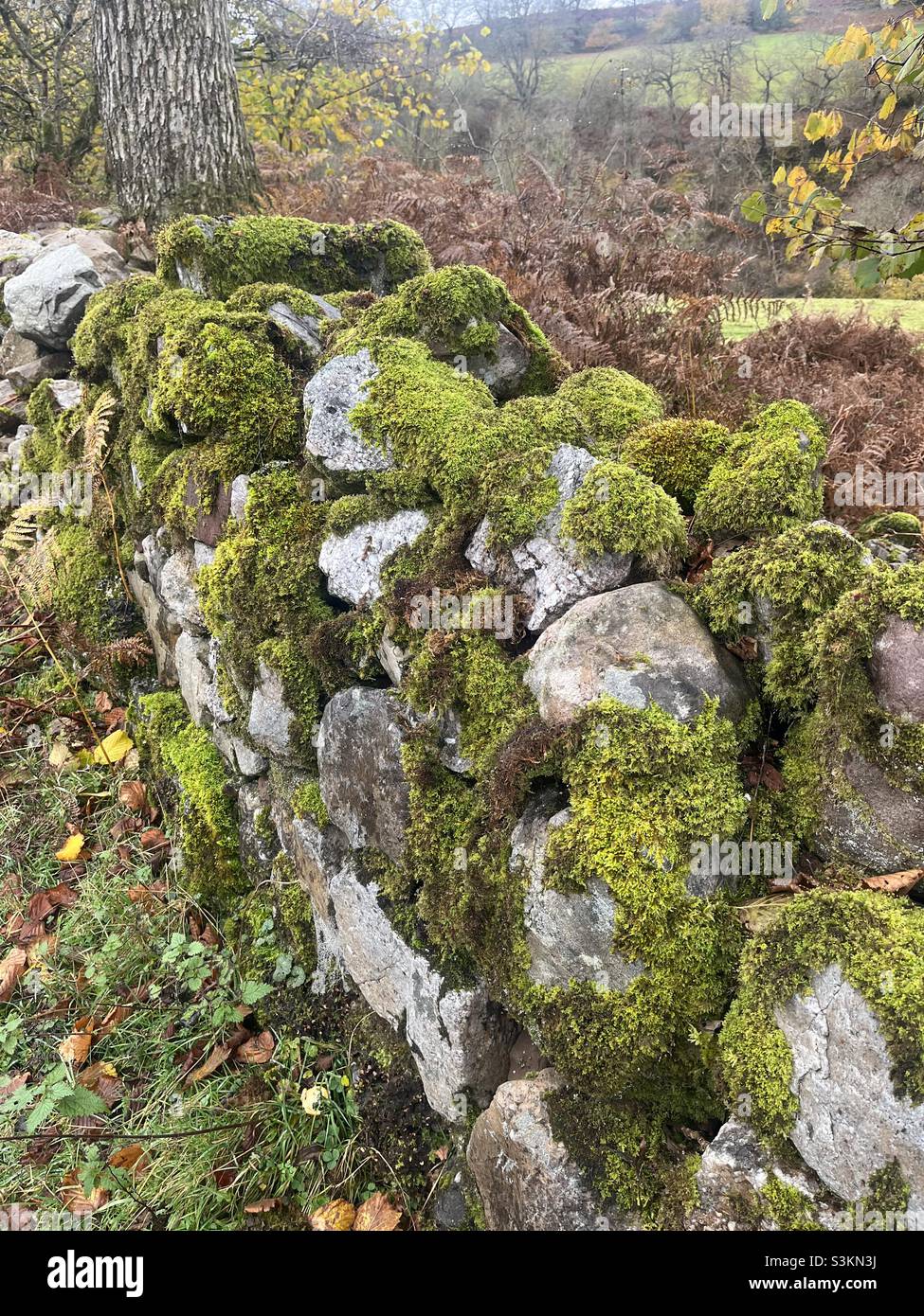 Welsh wall hi-res stock photography and images - Alamy