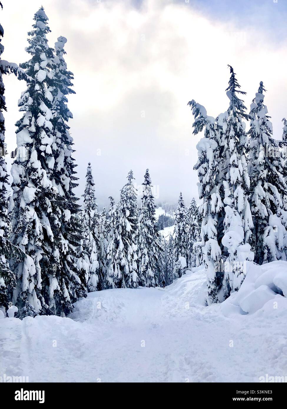 Steven's pass ski hi-res stock photography and images - Alamy