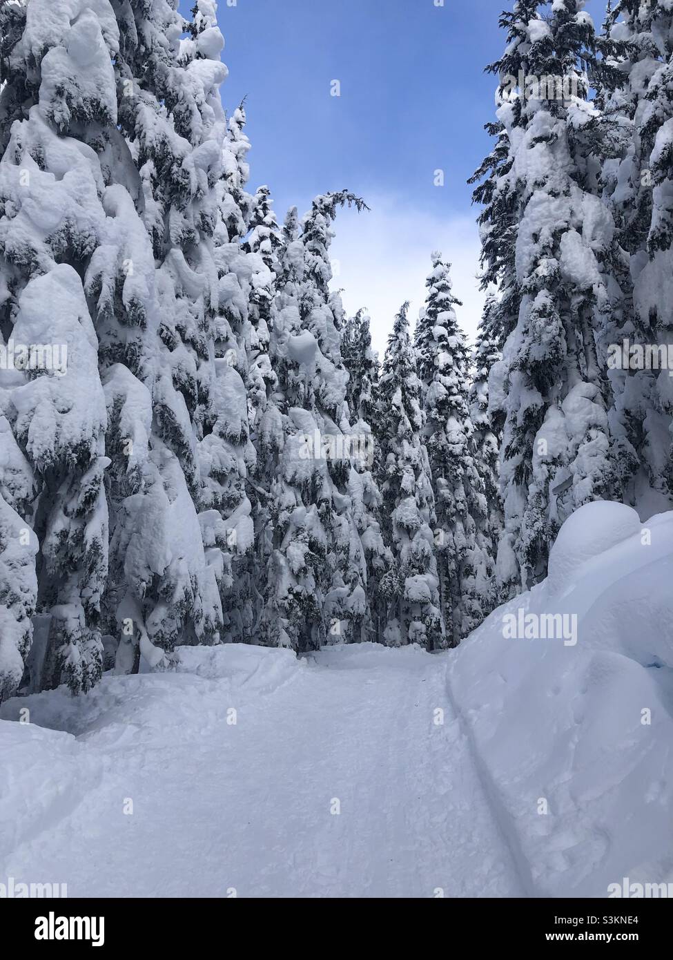 Stevens Pass Washington State High Resolution Stock Photography and ...