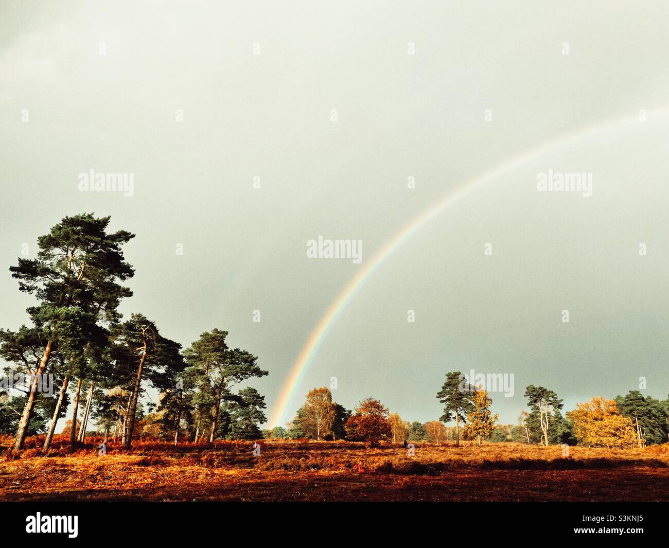 Rainbow Sutton Heath Suffolk England Stock Photo - Alamy