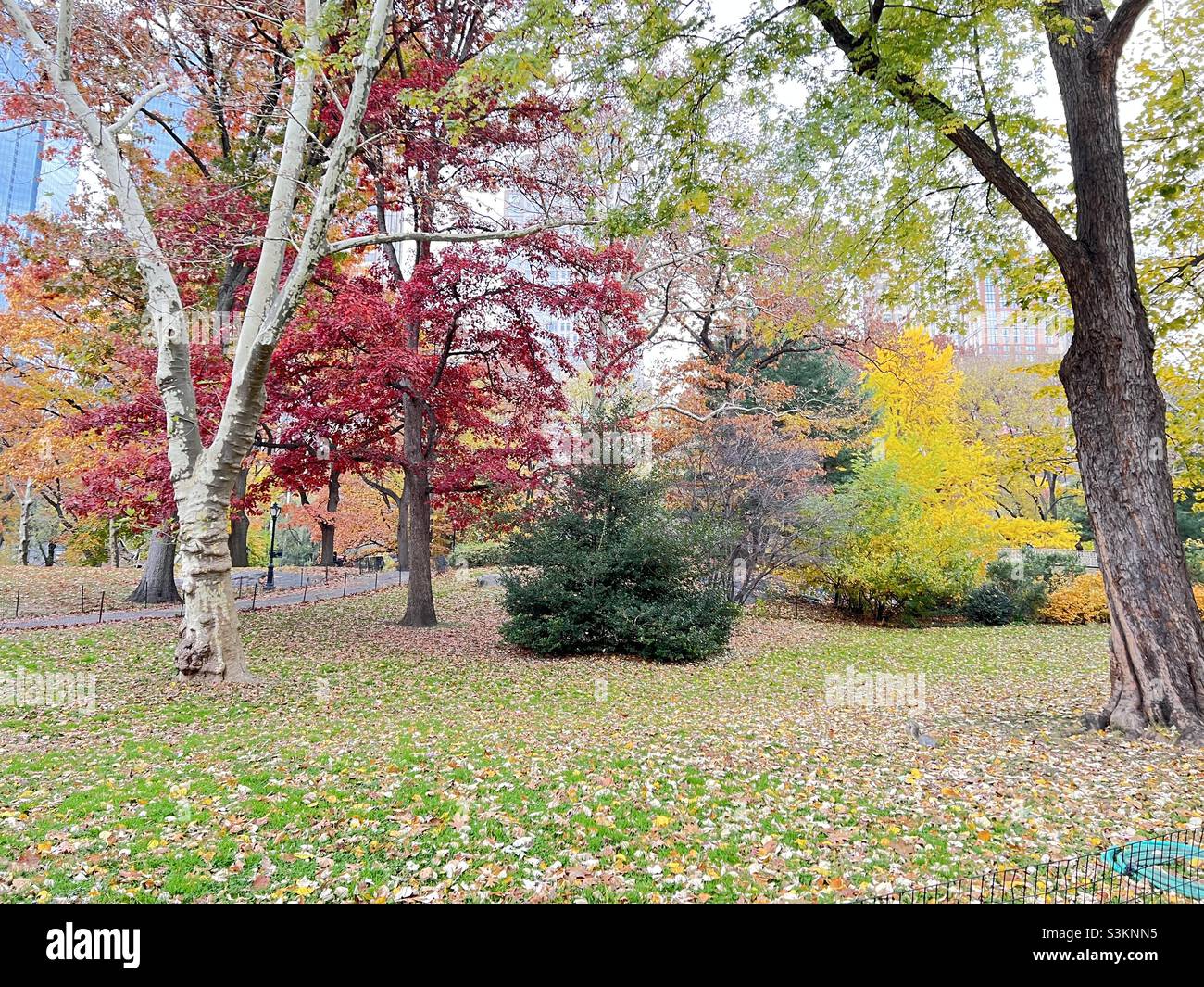 Fall foliage at park hi-res stock photography and images - Alamy