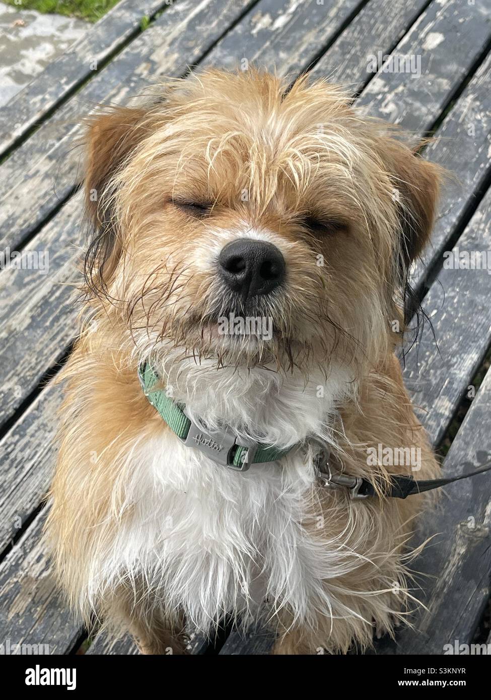 Humans friend hi-res stock photography and images - Alamy