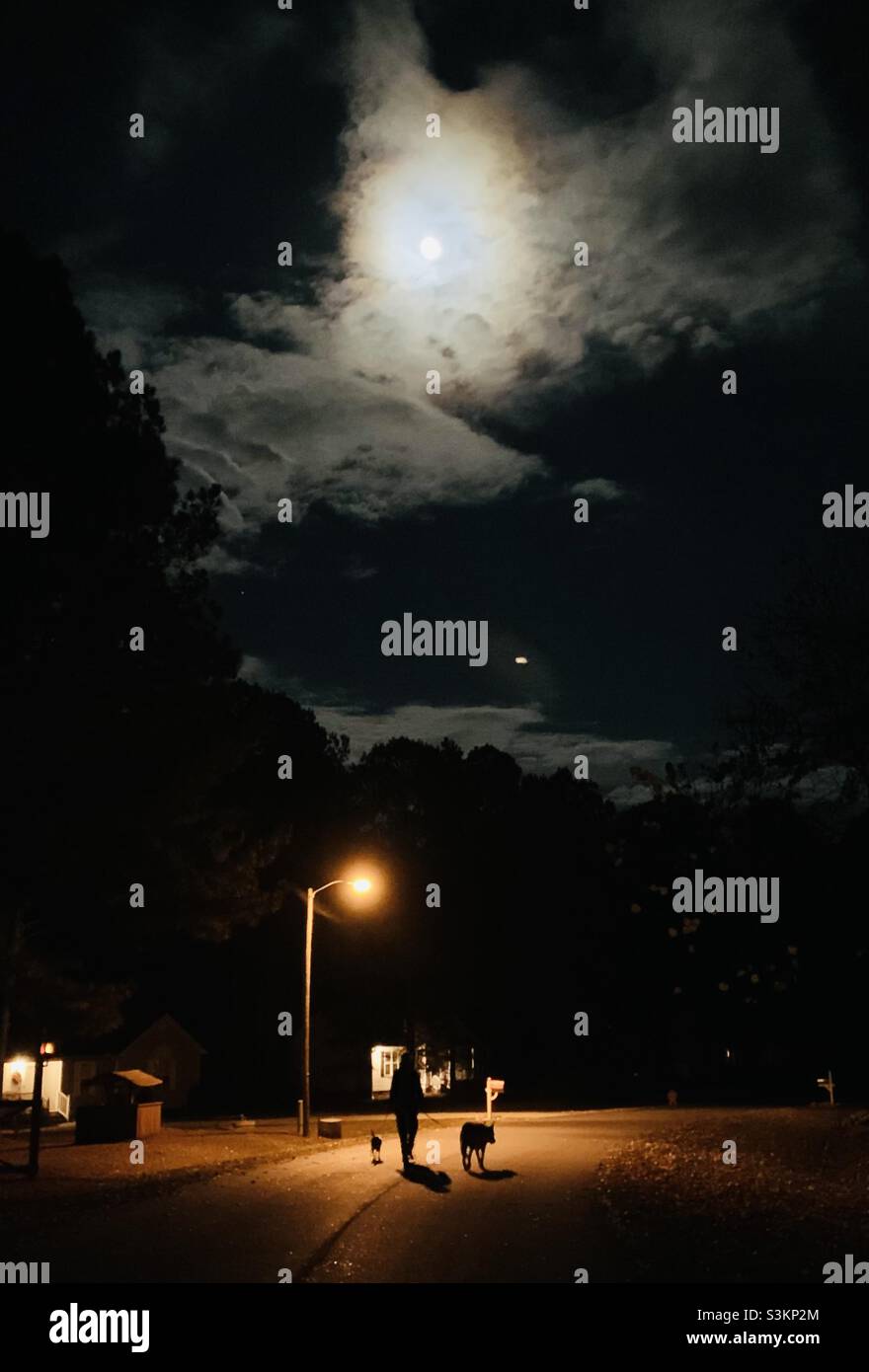 Moon dog not ring not illustration hi-res stock photography and images ...