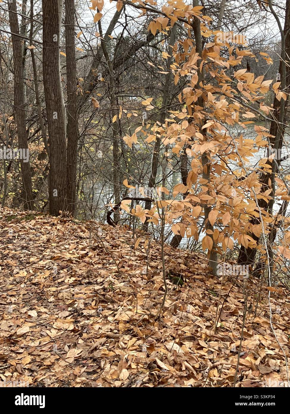 Fall is here Stock Photo - Alamy