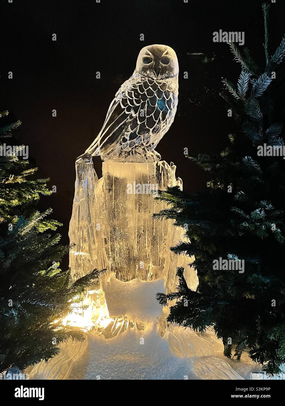 Ice owl hi-res stock photography and images - Alamy