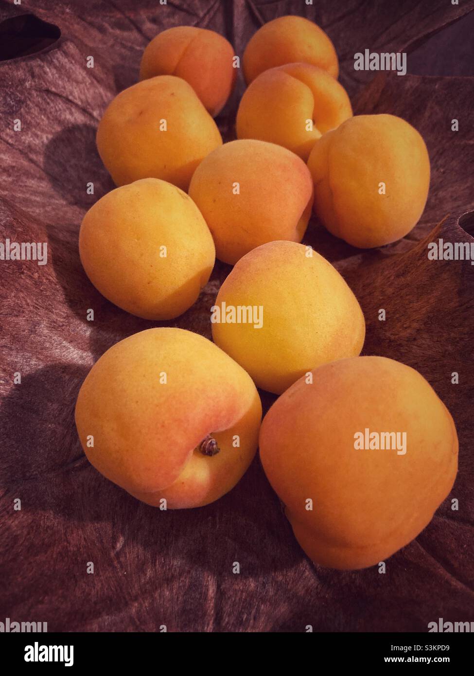 Golden apricots hi-res stock photography and images - Alamy