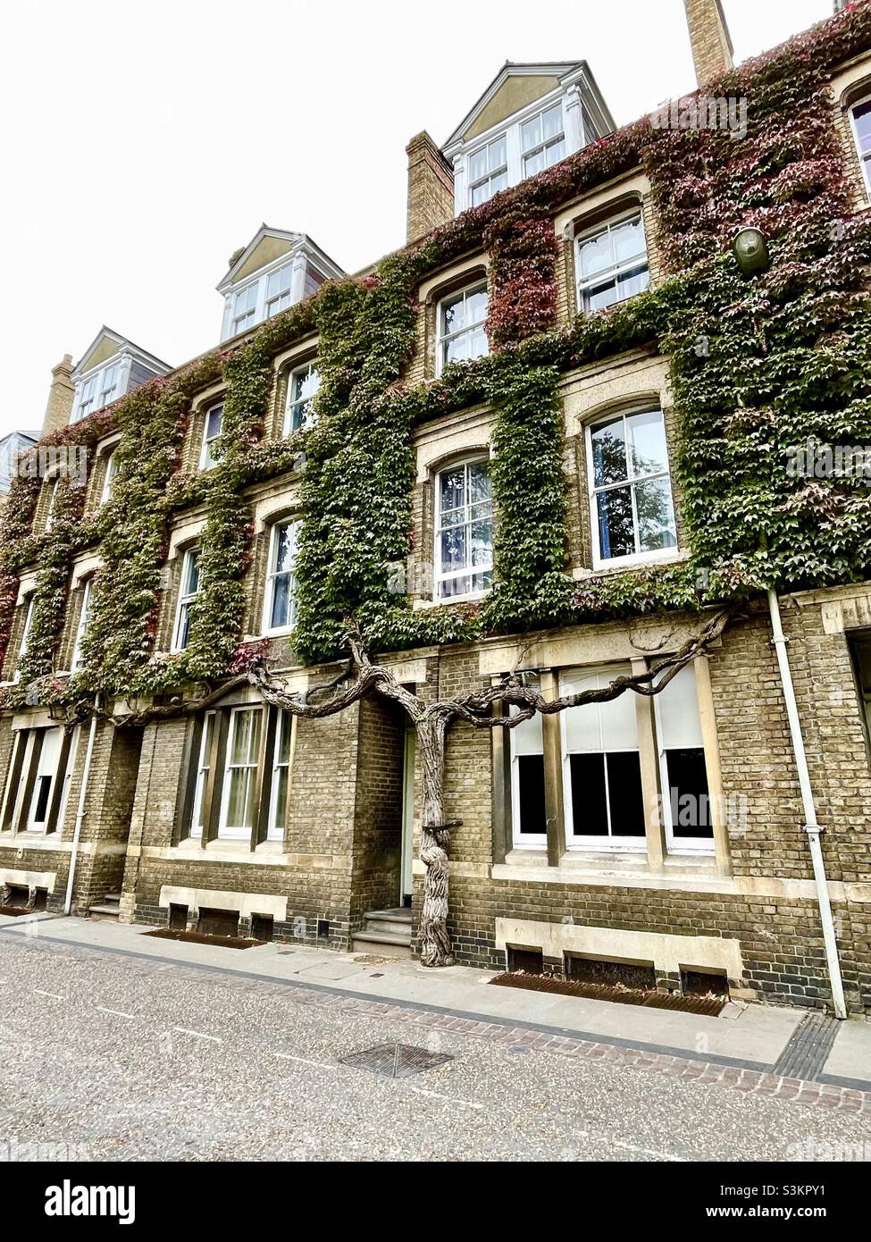 Whole building hi-res stock photography and images - Alamy