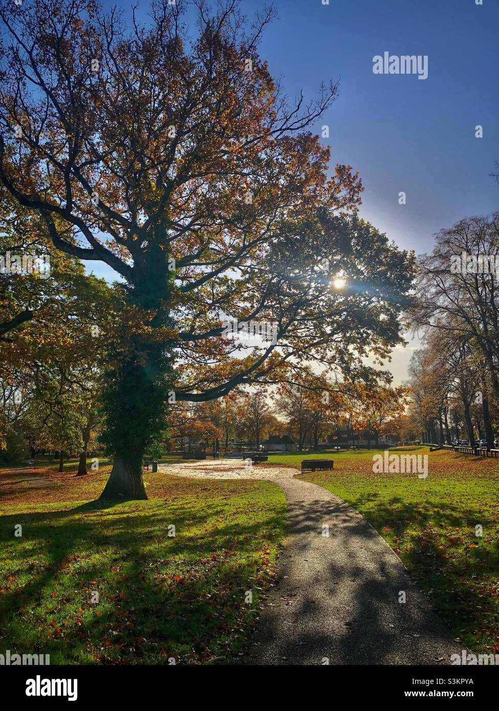 Letchworth garden city howard park hi-res stock photography and images ...