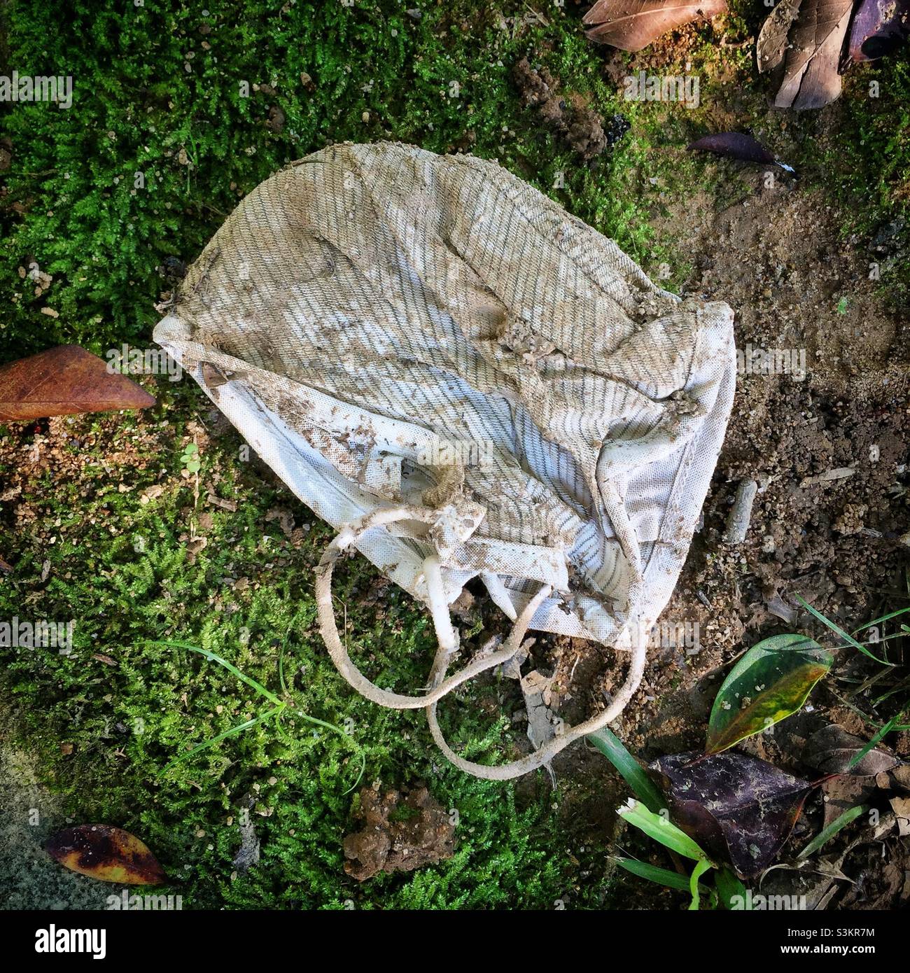 Discarded face mask, Discovery Bay, Lantau Island, Hong Kong, June 2020 ...