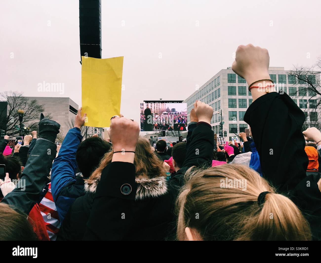 Fists in the air at the first Women’s March, Washington DC Stock Photo ...