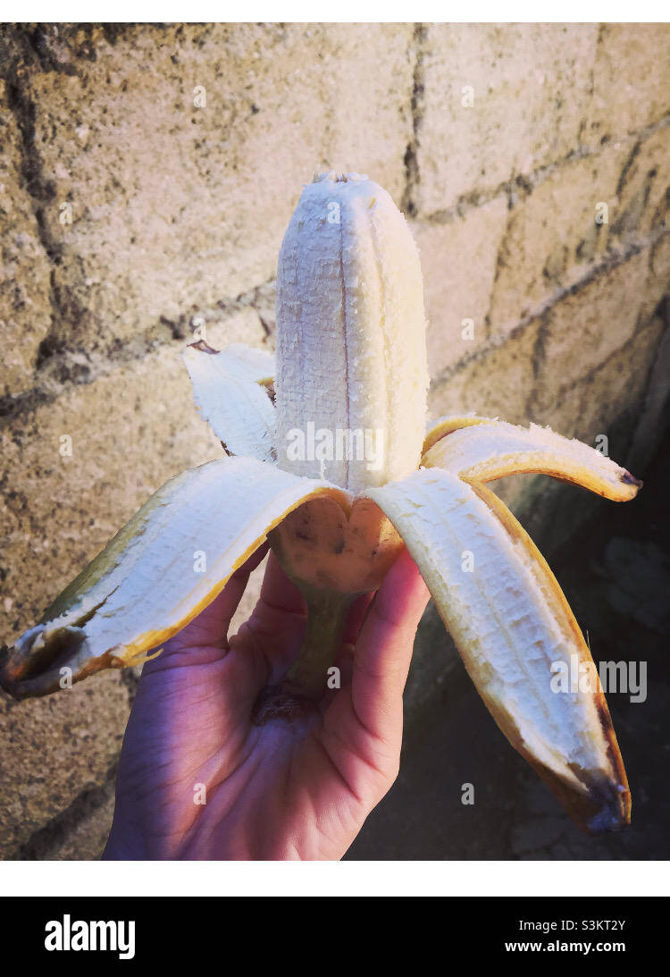 Saba banana hi-res stock photography and images - Alamy