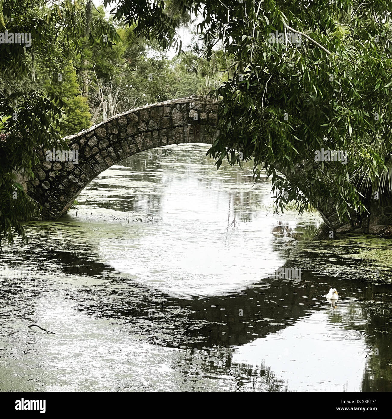 Louisiana swamp bridge hi-res stock photography and images - Alamy