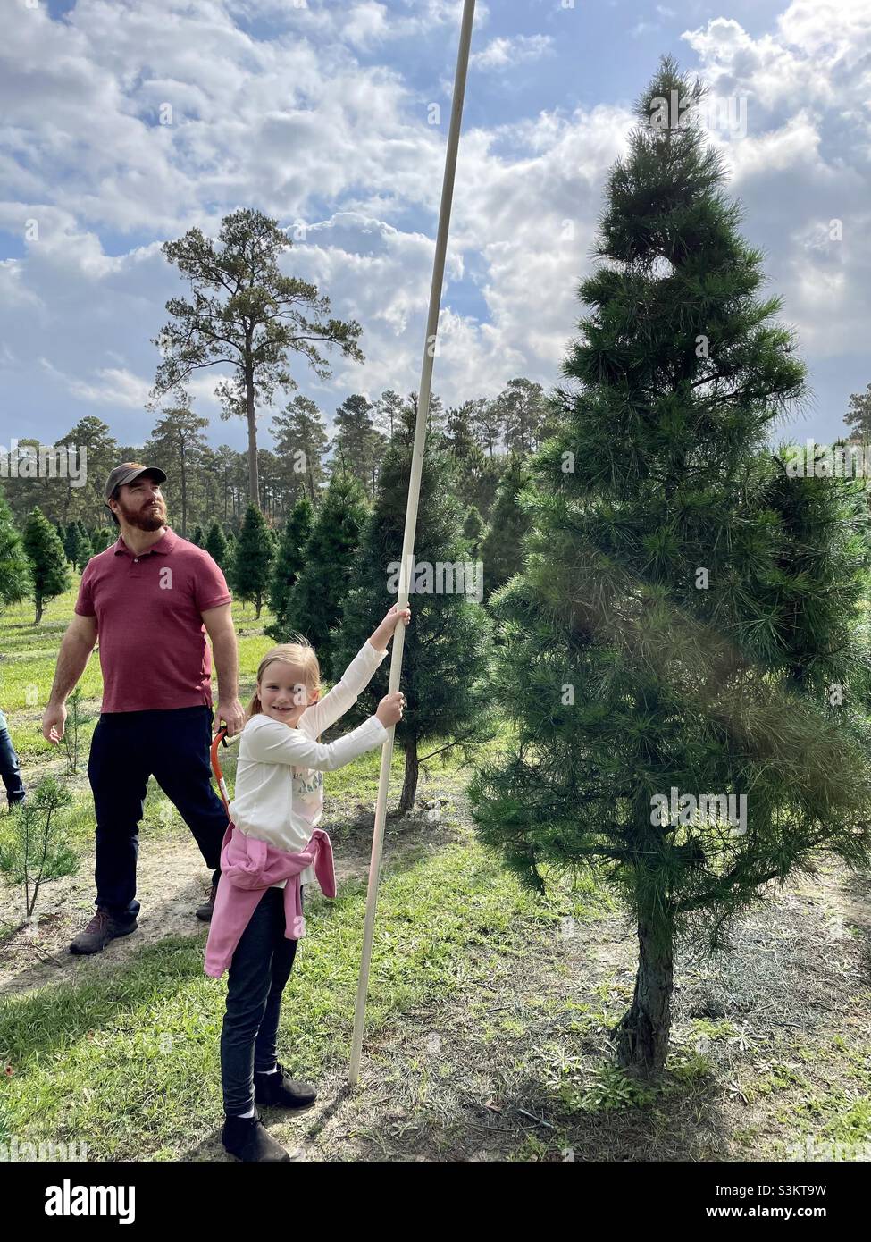 Tree measuring hi-res stock photography and images - Alamy