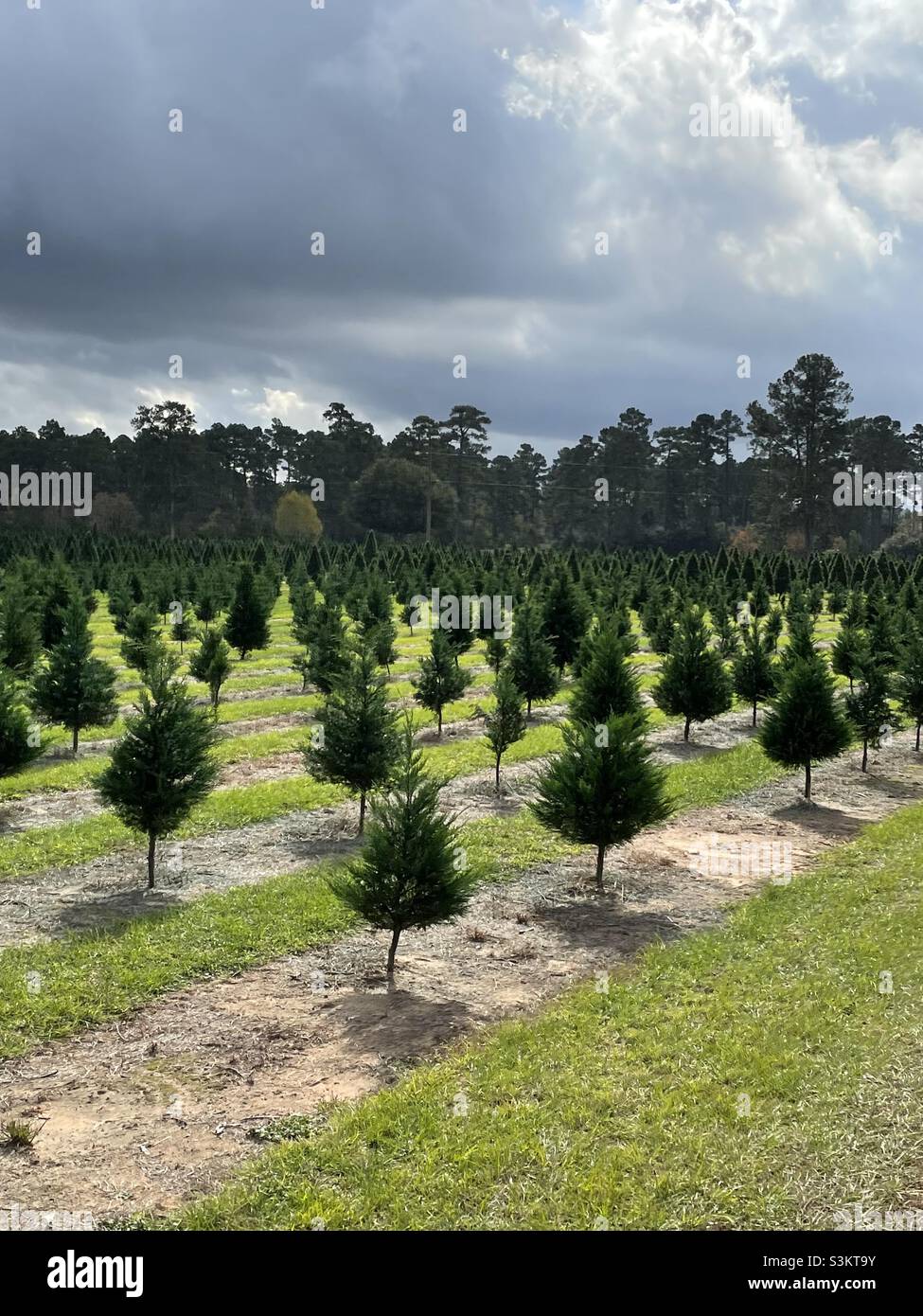 Magnolia creek hi-res stock photography and images - Alamy