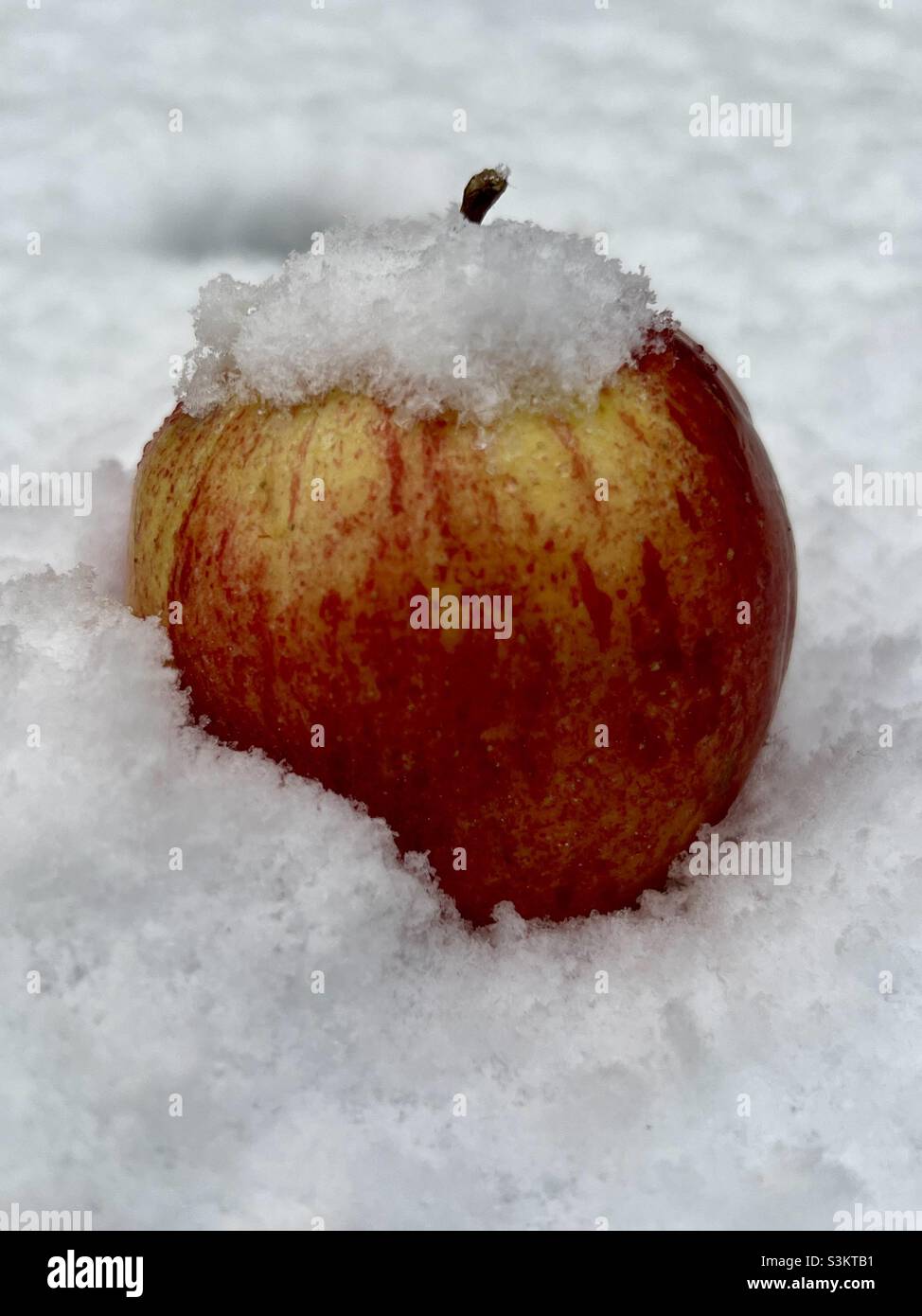 Snow Apple Once