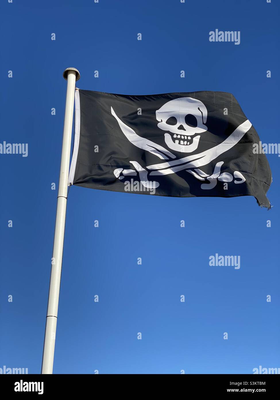 Skull And Cross Swords Flag