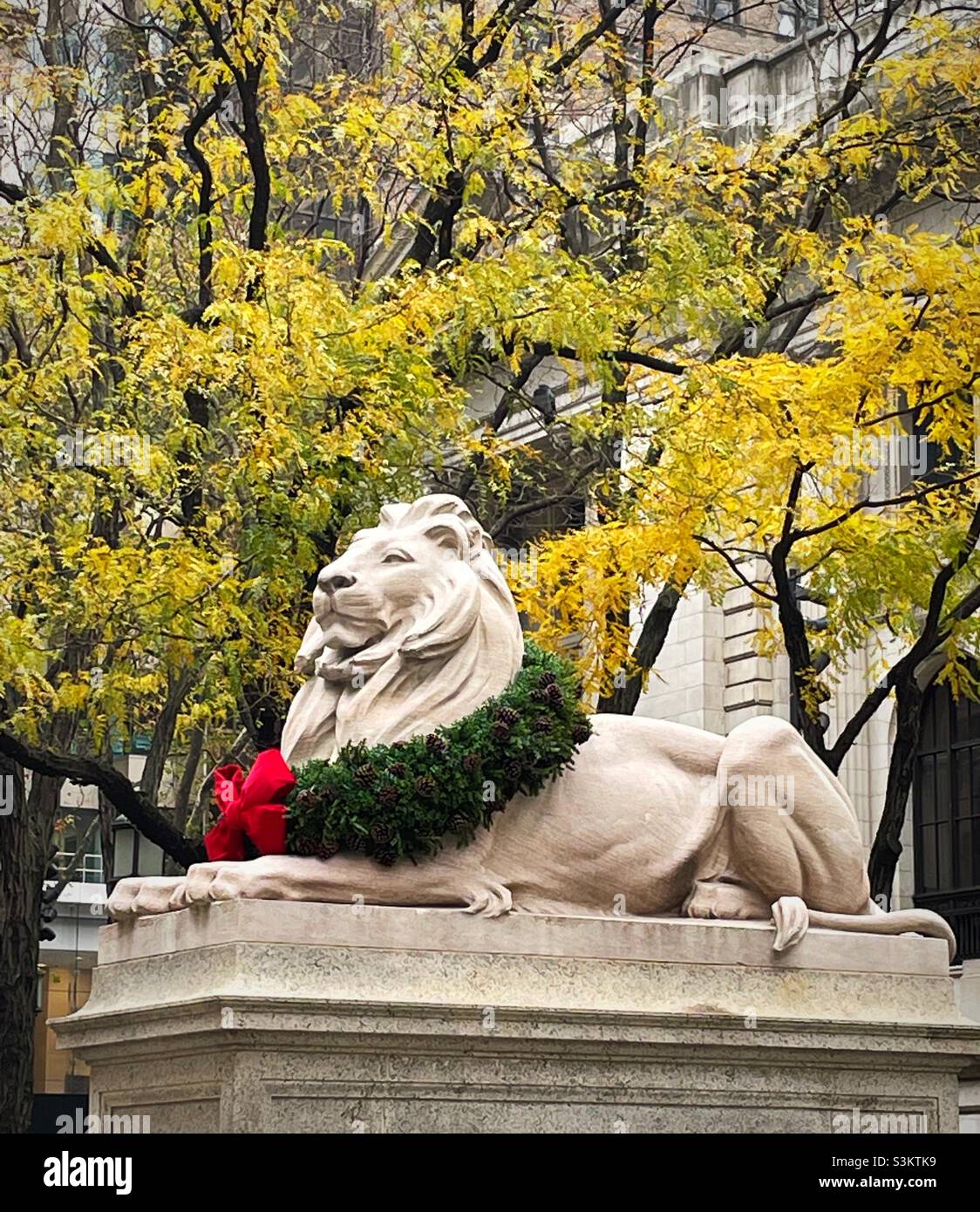Patience, the iconic lion statue in front of the main branch of the new ...