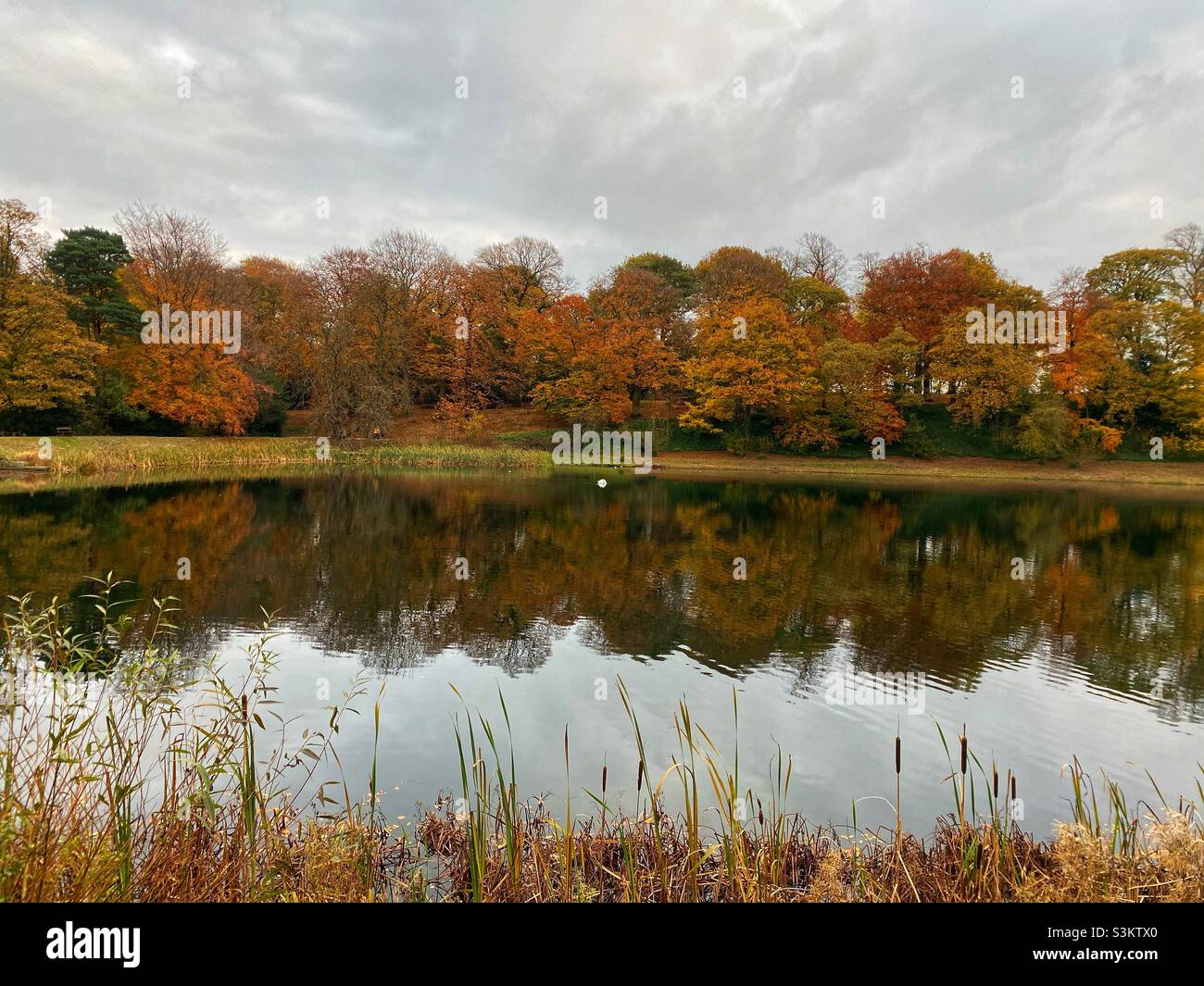 Nostell priory autumn hi-res stock photography and images - Alamy