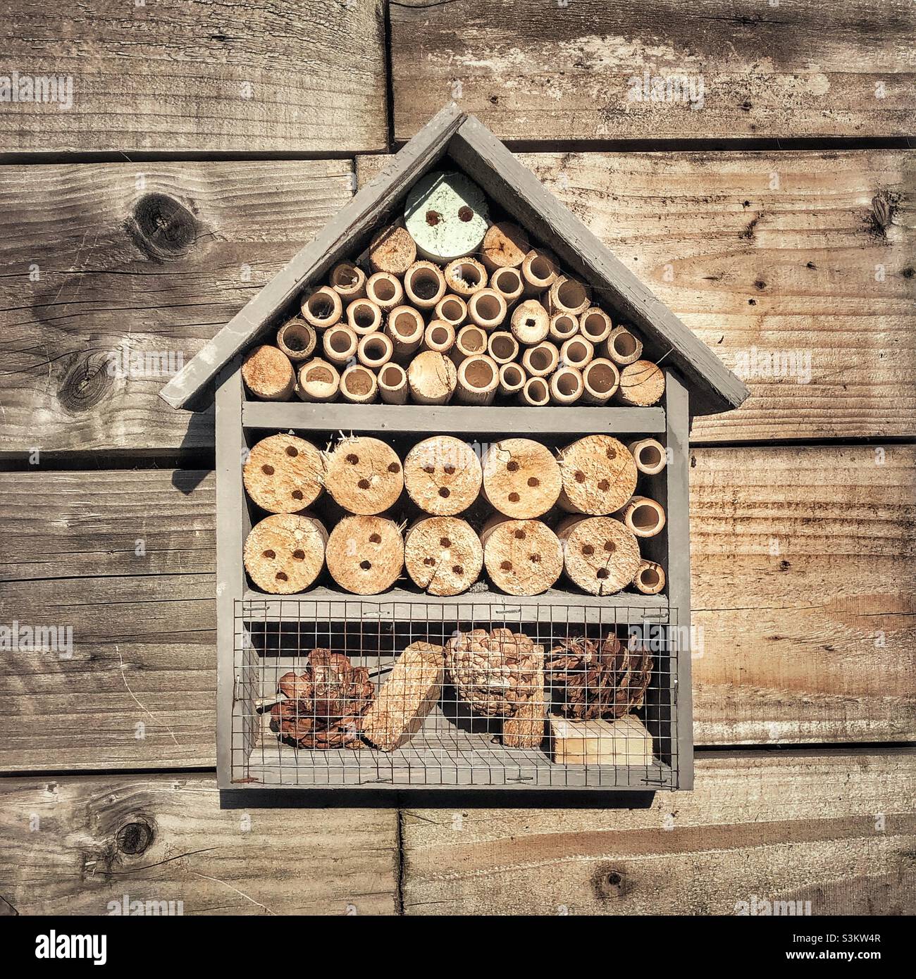 Rewilding insect hi-res stock photography and images - Alamy