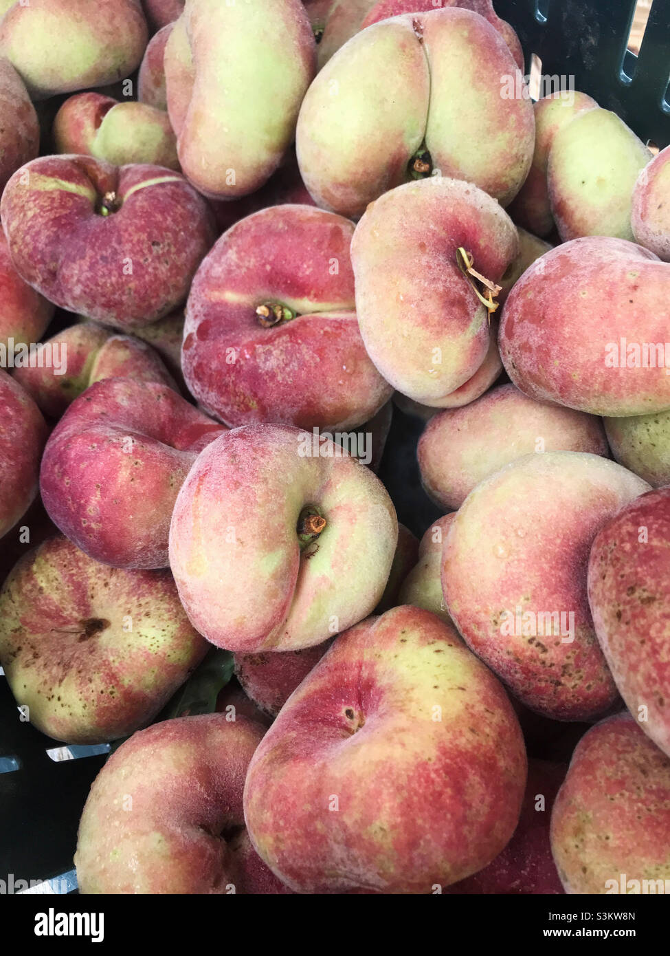 Georgia doughnut peaches aka flat peach or Saturn peach Stock Photo - Alamy