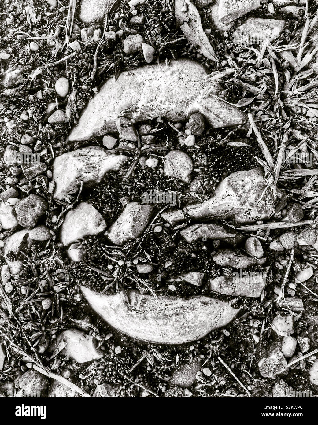 Shapes of nature Stock Photo - Alamy