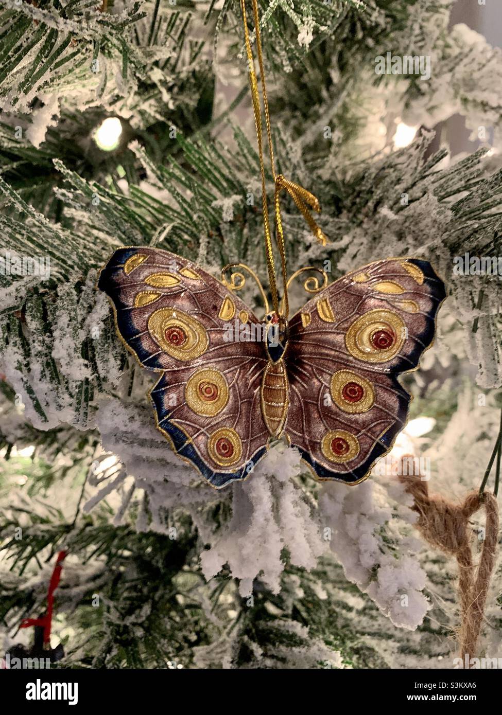 Christmas butterfly hi-res stock photography and images - Alamy