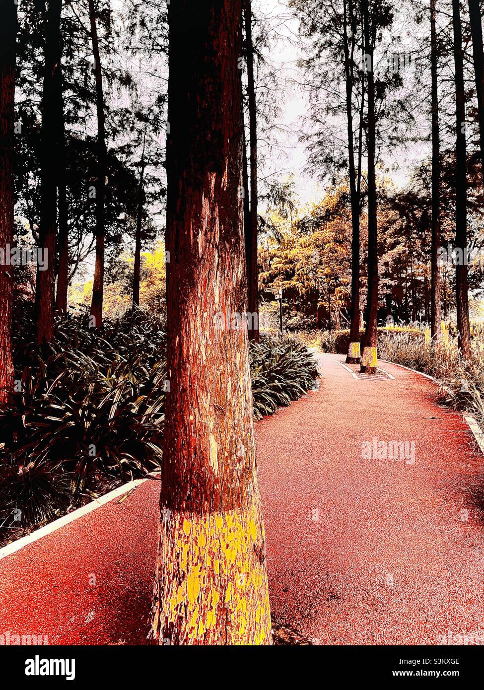 Riverfront path hi-res stock photography and images - Alamy