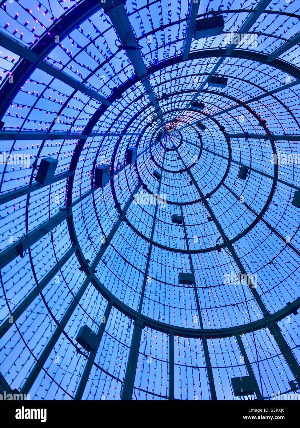 Looking inside a tree hi-res stock photography and images - Alamy