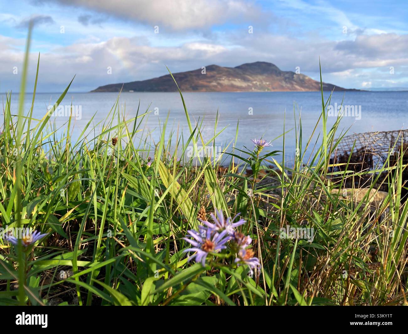 Firth of clyde island hi-res stock photography and images - Alamy