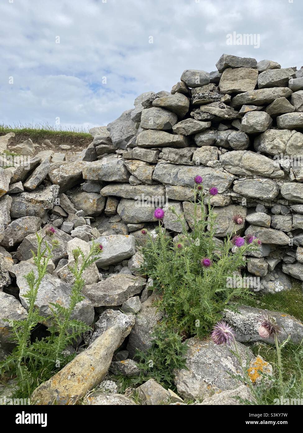 Welsh wall hi-res stock photography and images - Alamy