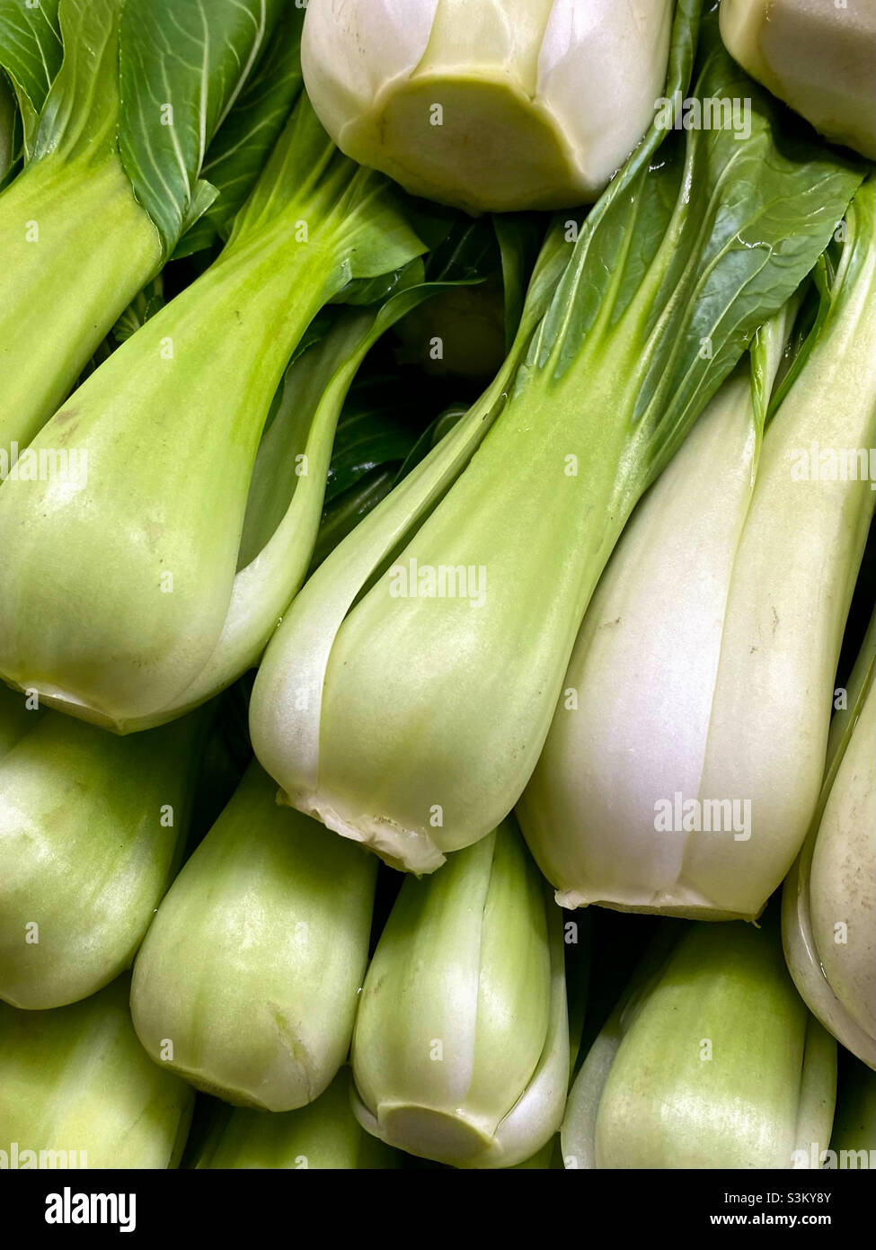 Pok choy hi-res stock photography and images - Alamy