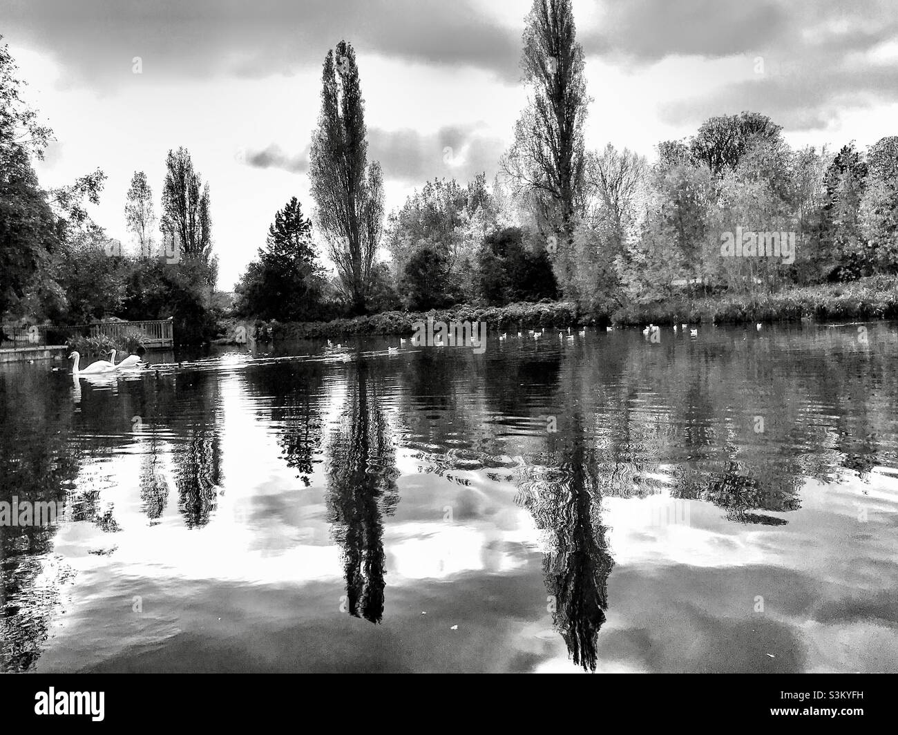 Looking glass lake hi-res stock photography and images - Alamy