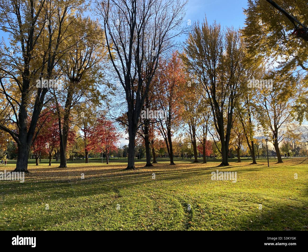 Britannia park hi-res stock photography and images - Alamy