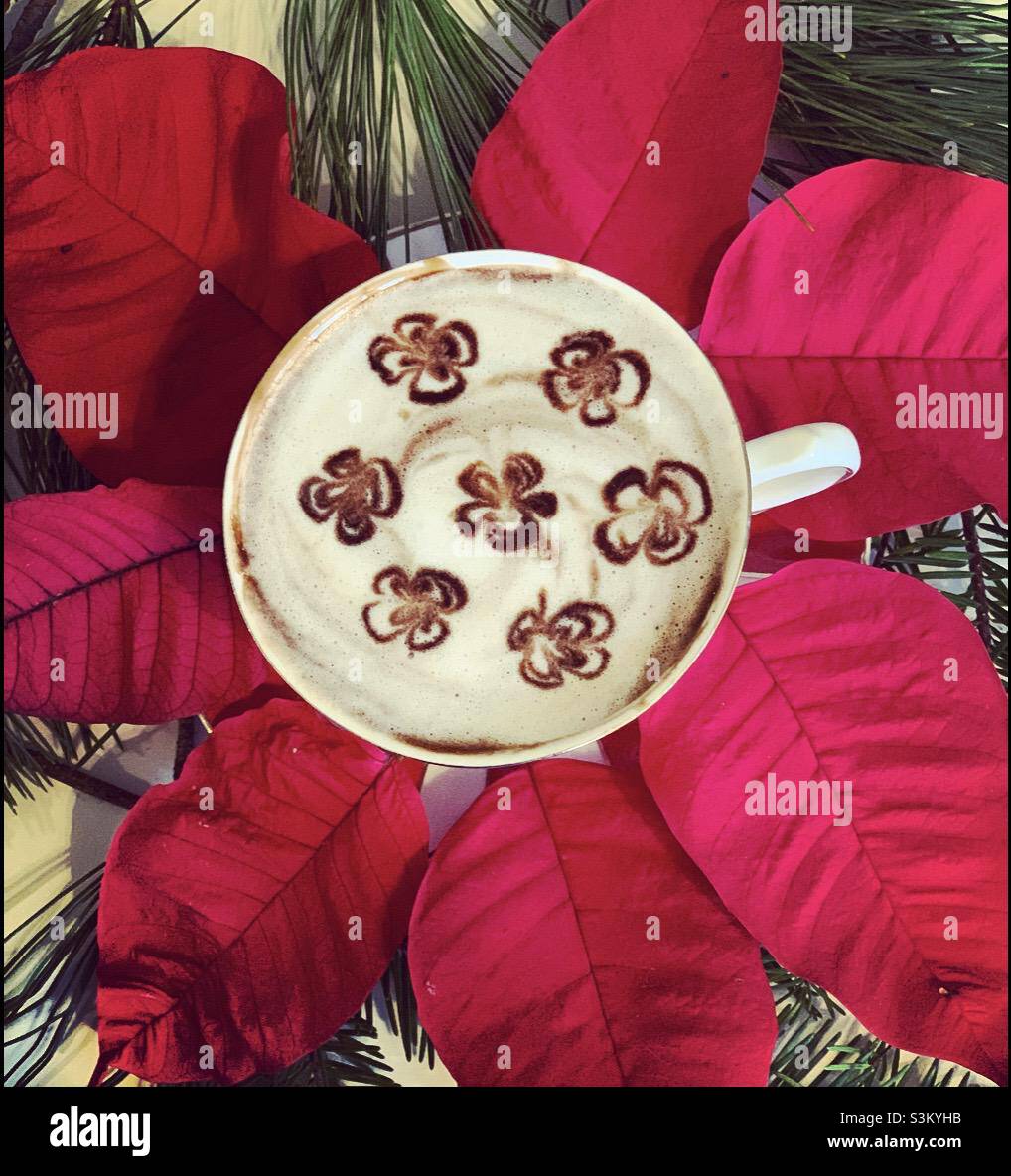 Red flower from deconstructed poinsettia petals latte Stock Photo - Alamy