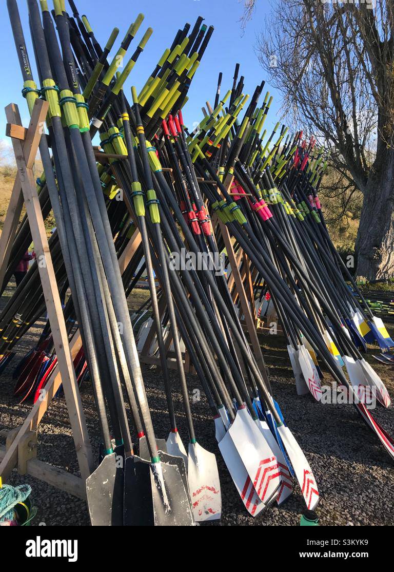 University rowing competition hi-res stock photography and images - Alamy