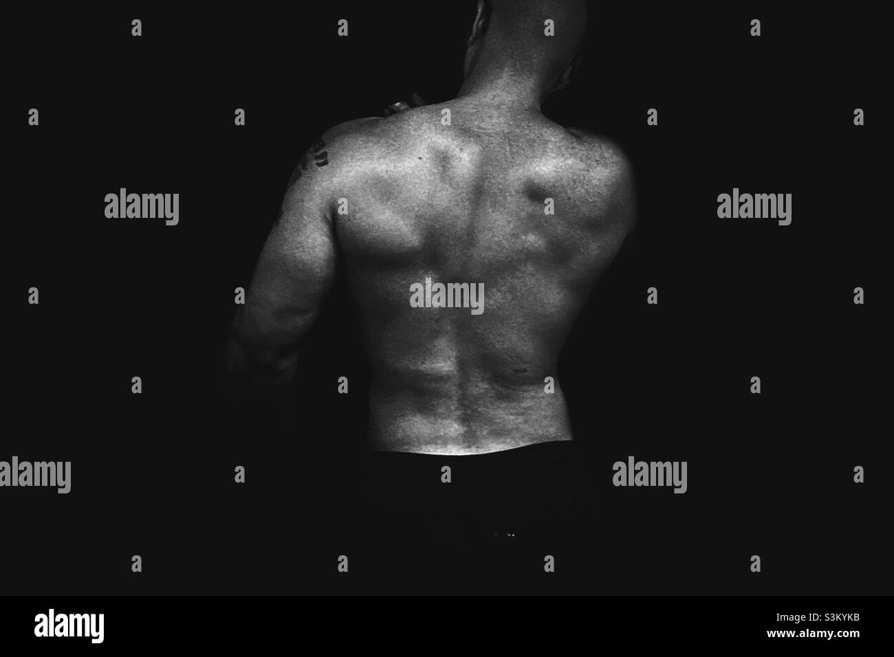 Back muscle hi-res stock photography and images - Alamy