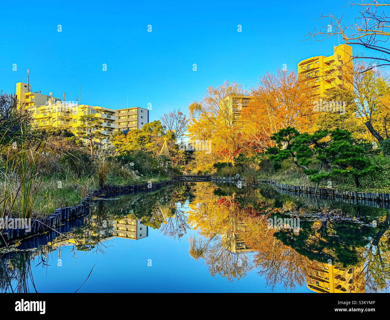 Mukojima hi-res stock photography and images - Alamy
