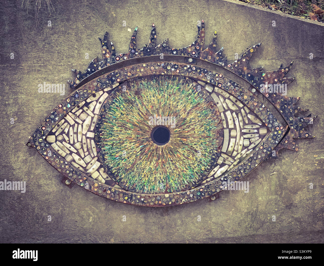 Eye see everything Stock Photo - Alamy
