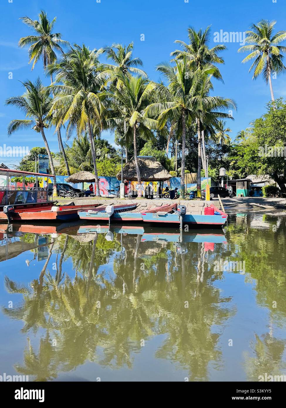 Palm trees reflections hi-res stock photography and images - Alamy